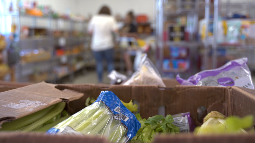 Key Findings The Working Hungry